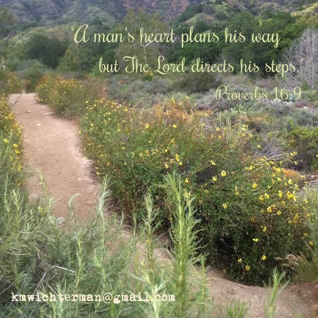 The Lord Directs Our Steps | Trees of Righteousness Ministries